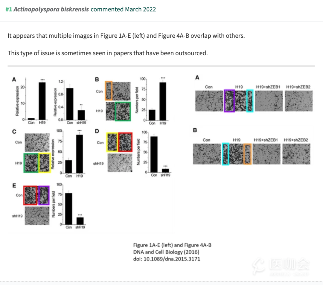 迅速！PubPeer上有人质疑某论文数据，3天后论文就被撤稿 - 医咖会