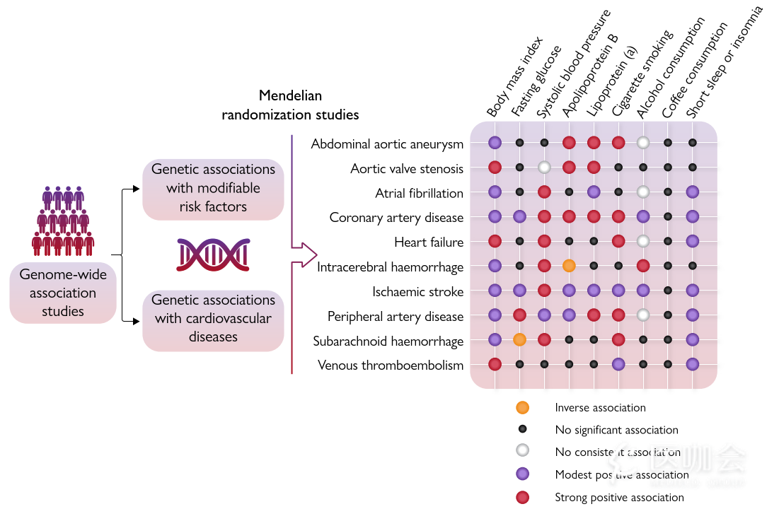 EHJ综述：什么是孟德尔随机化研究？(IF=39.3) - 医咖会