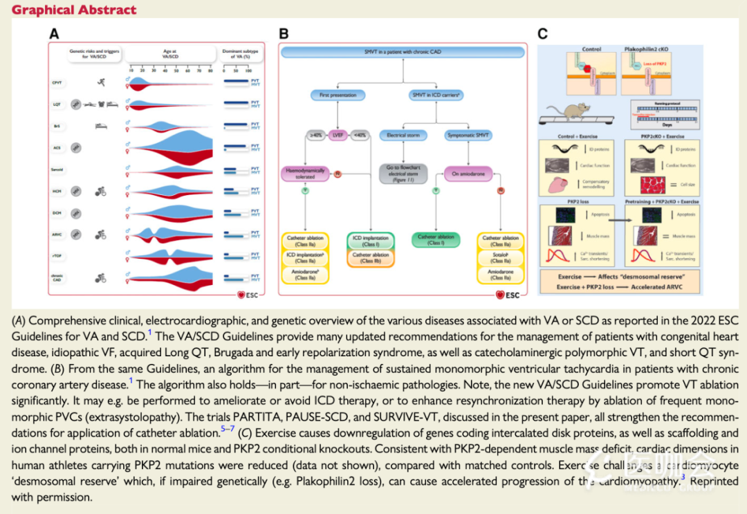 EHJ连发9文，总结2022年度心血管进展（附全文下载）-研究进展-医咖会